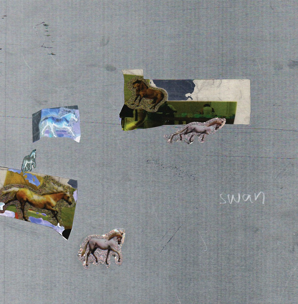 FAZED ON A PONY - swan (Vinyl LP) – Flying Out